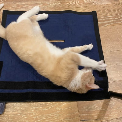 FIP Injection Subcutaneous Fluid Sleeve Wrap Purrito Velcro Vest FIP ...