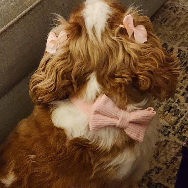 Light Pink Polyester Dog Bow With Non Latex Groomer Bands, Pair of Dog ...