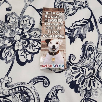 Justice for Timothy the Octopus Sticker, the Boys Inspired Stickers ...