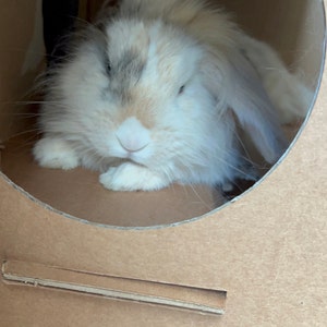 The Castle Corrugated Cardboard Castle for Bunny Rabbits & - Etsy UK