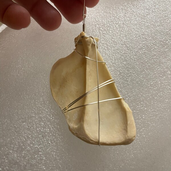 Fox Foot Bone Necklace - Etsy