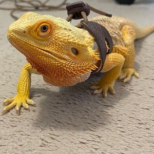 Bearded Dragon Hat, Lizard Costume, Reptile Hat, Crochet Knitted Hat ...