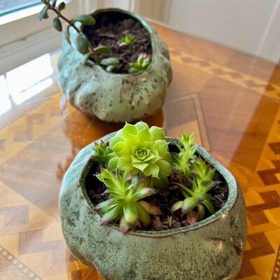 Premium Large Shallow Succulent Planter Pot, Ceramic With Decorative ...