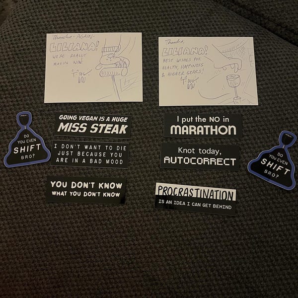 Stick Shift Sticker | Manual Transmission | Driver Sticker - Etsy