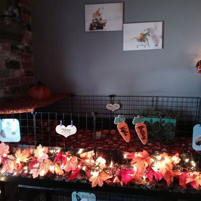 C&C Cage Wood Door, Bunny Rabbit Accessory, Rabbit Cage Accessories ...