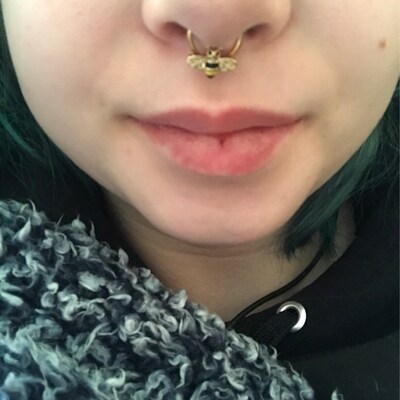 316L Stainless Steel 16G Bee Helix Daith Conch Earring/bee Septum Nose ...