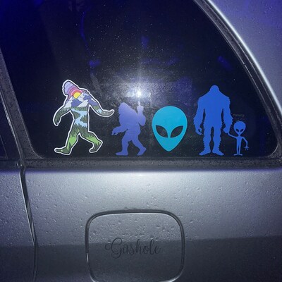 Wile E. Coyote Splat Image in Road Runner Decal - Etsy