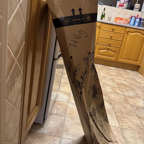 Fresh Blue Thistle | Scotch Thistle | Eryngium | Natural Thistle ...