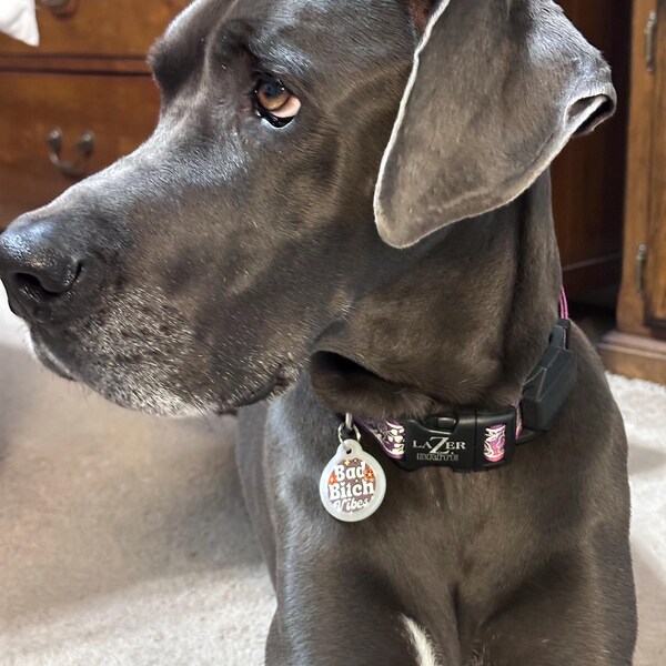 Large Personalized Pet ID Tag, Large Dog Tag for Dogs, Double Sided ...