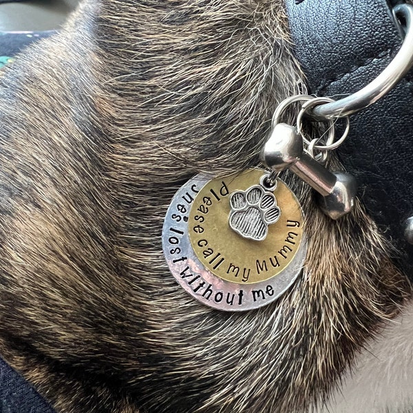 Dog Tag | Lost Without Me Dog Tag | I’m Lost Dog Tag | Call My Humans ...