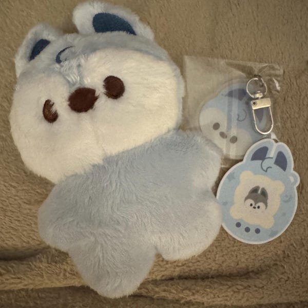 Stray Kids Foxi.ny Skzoo Skz Fanmade 10 Cm Doll - Etsy