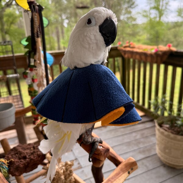 Vest E-collar Jacket for African Grey Parrots That Pluck & Pick ...