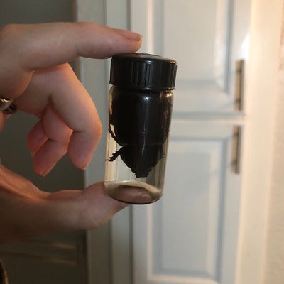 Wet Specimens REAL Mixed Lot of Assorted Specimens in Vials Collection ...