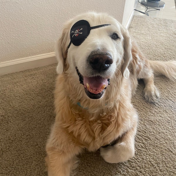 Dog Eye Patch Custom Made Cotton Fabric No Felt. - Etsy