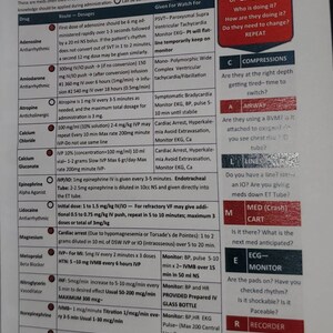 Labs Fishbone Medication Levels ABG Reference Badge ID Nursing Student ...