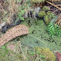 Hedgehog Pond Ramp, Hedgehog Conservation, Pond Decorations, Gardener ...