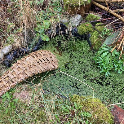 Hedgehog Pond Ramp, Hedgehog Conservation, Pond Decorations, Gardener ...