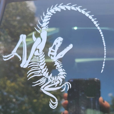 Raptor or Stegosaurus Skeleton Car Decal - Etsy