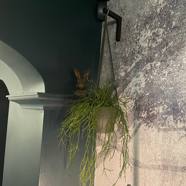 Indoor Plant Hook, Wall Mounted Wooden Plant Hanger - STEM Plant ...