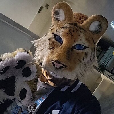 Deluxe Bluey Mask - Etsy