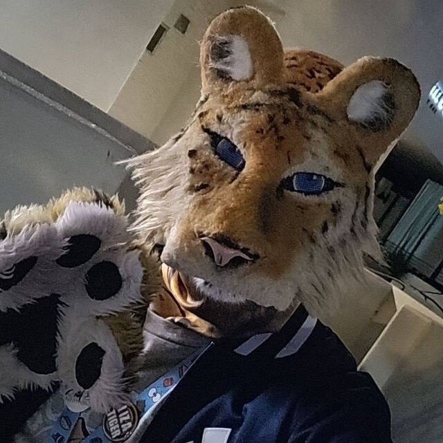 TigerPawDesignStudio - Etsy