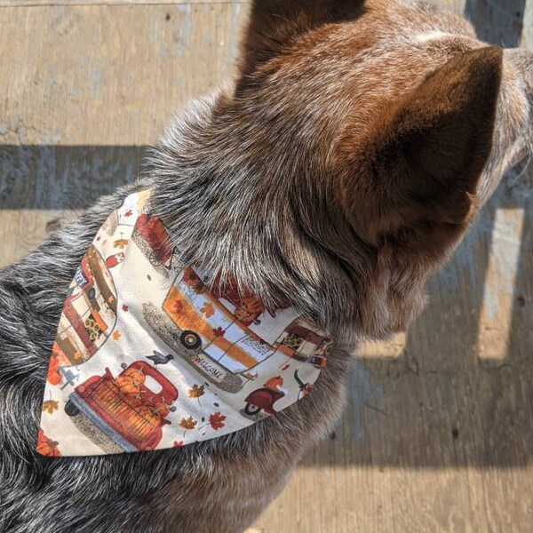 Fall Dog Bandana, Thanksgiving Dog Bandana, Dog Bandana, Over the ...