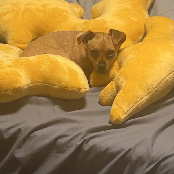 Dinosaur Chicken Nugget Shaped Pillow. Super Sized Dino Nuggie. Fun ...