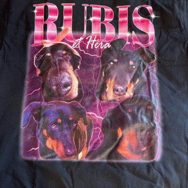 ROBIN SCHERBATSKY Shirt, Robin Scherbatsky Homage T-shirt, How I Met ...