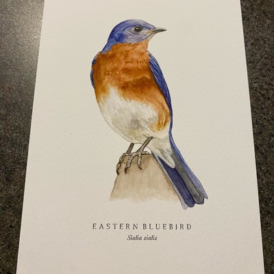 Garden Alphabet Watercolor Nursery Art Garden ABC Print Playroom Decor ...