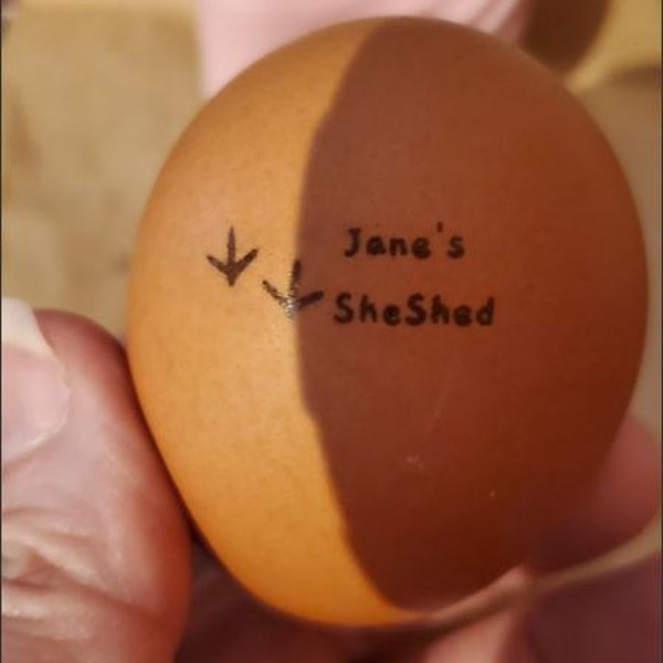 Custom Egg Stamp With Ink Chicken Egg Farm Name Stamp Farm Fresh Egg ...