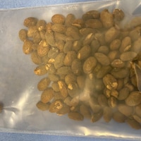 Ludo Game Instant Download - Instant Download - Etsy Canada