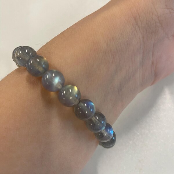 8mm Queen Conch Shell Beads Necklace| High-quality Bahamian Queen Conch ...