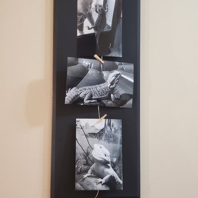 Vertical Cable Photo Display, Room Decor Clothespeg Wire Picture Hanger ...