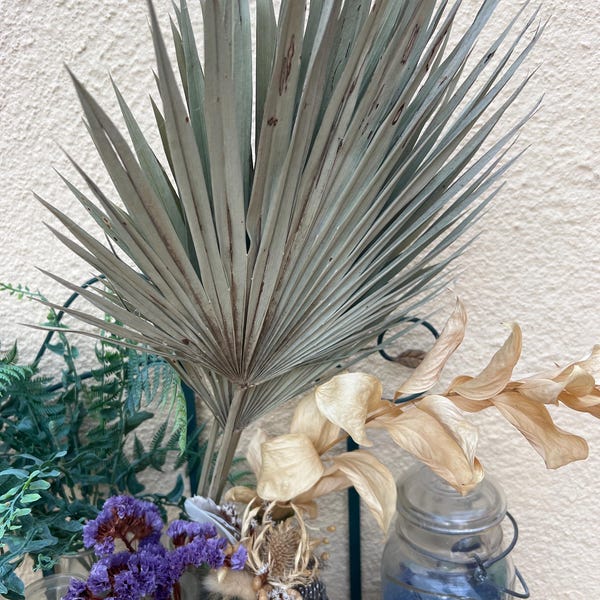 RAINBOW Dried Sago Palm Leaves 1st, Multicolor, Natural Dry Flower Home ...