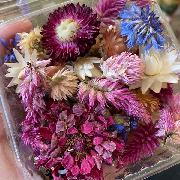 Dried Farm Flower Mix| Floral Confetti| Photo Styling| Organic Tossing ...