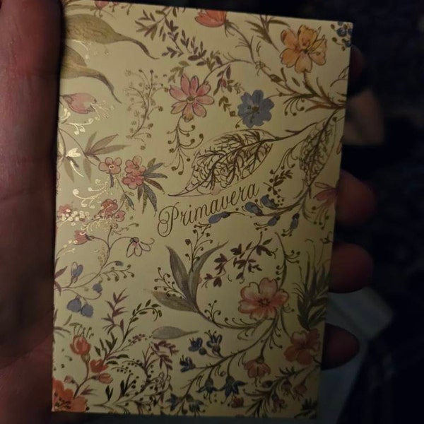 Italian Stationery by Rossi 10 Flat Note Cards With Matching Lined ...