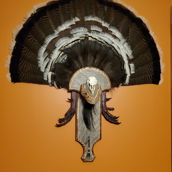 Barn Wood Box Call Turkey Plaque With Skull Plate - Etsy