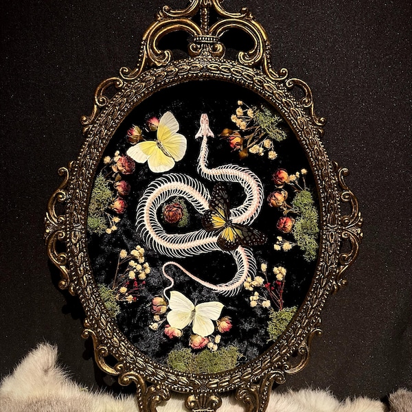 Paper Snake Skeleton, Realistic Double-sided Paper, Laser-cut Craft ...