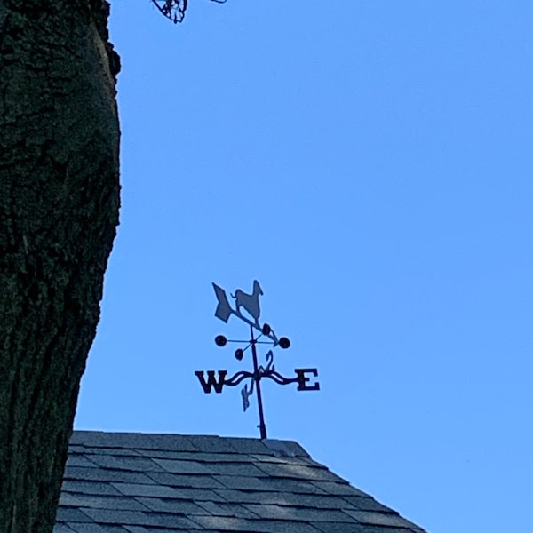 Hand-crafted Frogs Dancing Weathervane W/warranty - Etsy