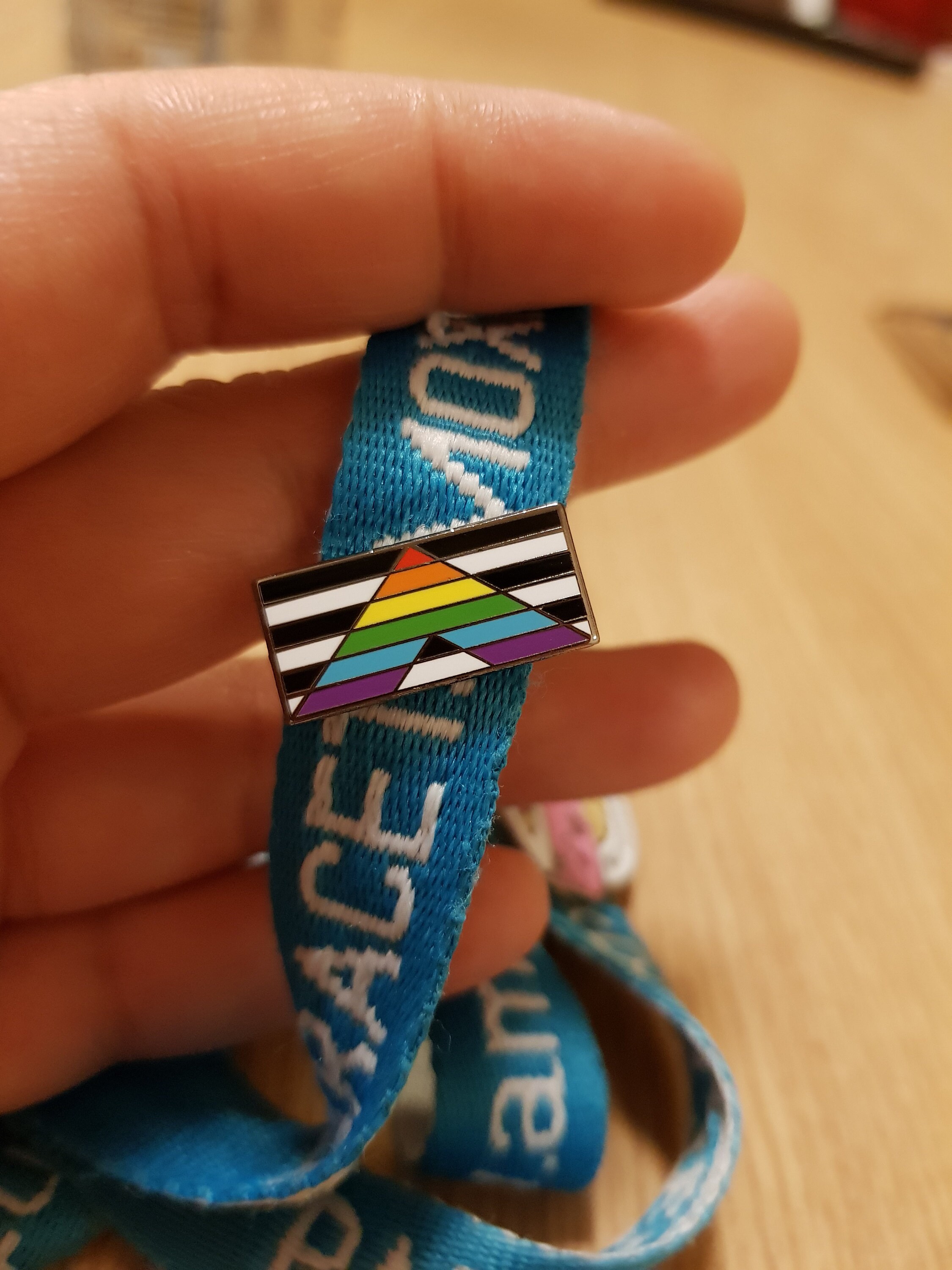 The LGBT Ally Flag Enamel Pin