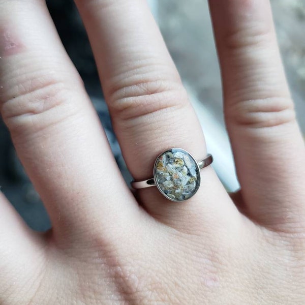 Cremation Ring, Pet Ash Jewelry, Pet Memorial Ring, Pet Cremation, Ring ...
