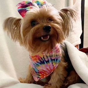 Concha Dog Squeaky Toy Concha Toy Mexican Sweet Bread Toy | Etsy