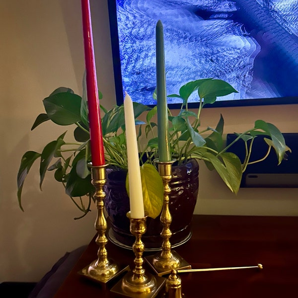 Dark Academia Frame, Vintage Botanical Print, Framed Bee Print, Bee ...