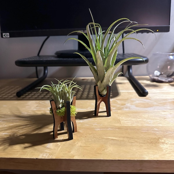 Wall Air Plant Holder Display (hanging) - Air Plant Hanger - Diamond ...