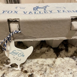 25 Pack Paper Apple Shapes Apple Shape Apple Paper Cut | Etsy