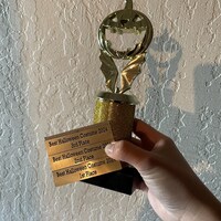 Beauty Queen Trophy. 6 Tall. Great Participation Award, Party Favor ...