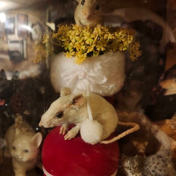 Handmade, Stuffed, Lifelike and Super Realistic Collectable Faux Fur ...