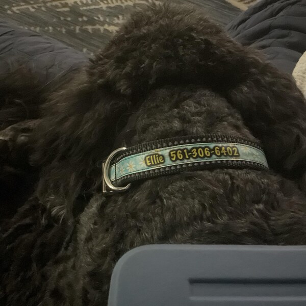 Monster Hunter Wall Tapestry WILDS, Iceborne Quote, Room Decor, MHW ...