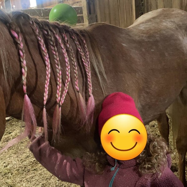 Design Your Own Mane Hair Extensions for Horses (perfect for Parties ...