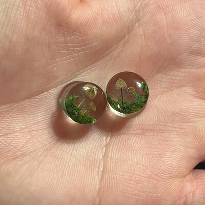 Natural Moss Mushroom Gauges, Real Plug, Mushroom Plug, Real Mushroom ...